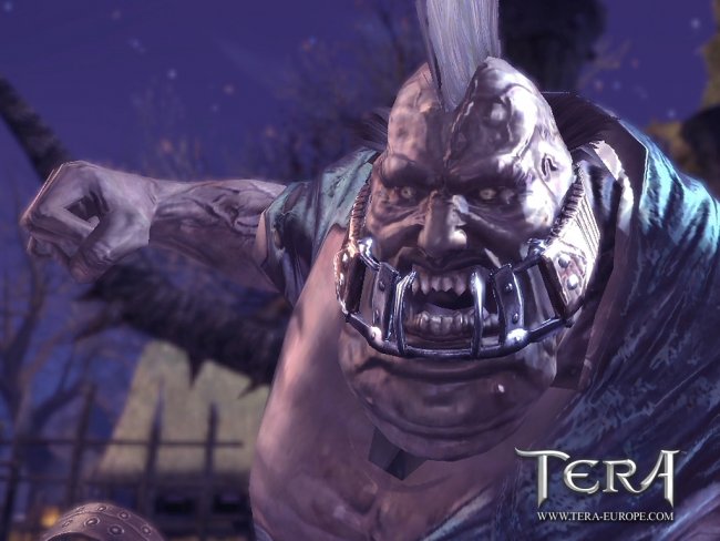 Tera findet seinen Publisher