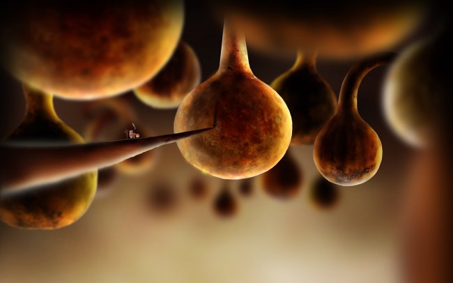 Botanicula Kritik - Gamereactor