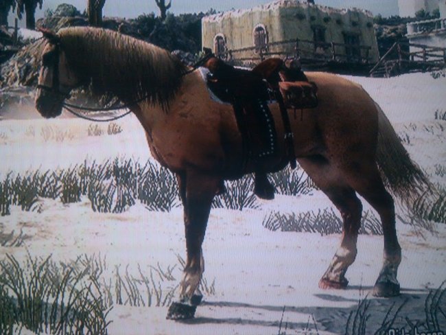 Red Dead Redemption Guide