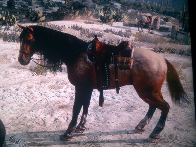 Red Dead Redemption Guide
