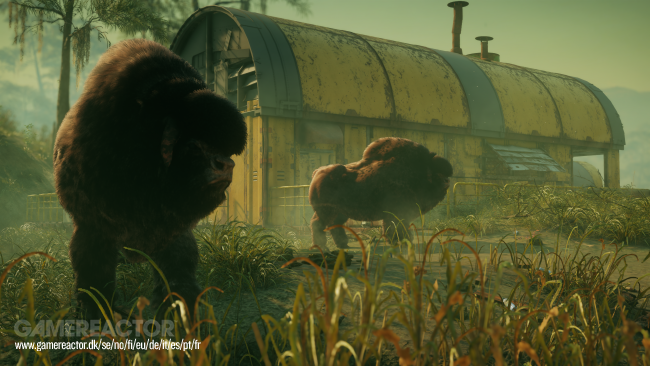 Rage 2 Kritik - Gamereactor