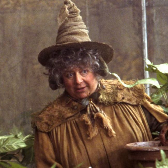 Professor Sprout-Darstellerin behauptet, dass erwachsene Fans Harry ...