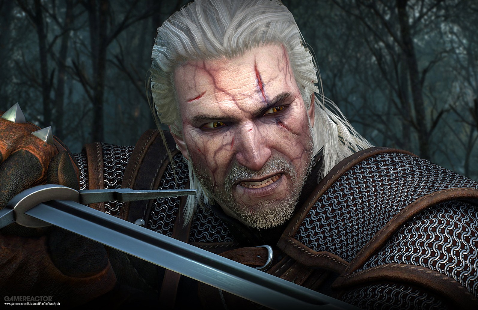 Crossover-Missionen mit Geralt of Riva in Monster Hunter: World verfügbar