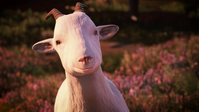 Goat of Duty - Gamereactor Deutschland