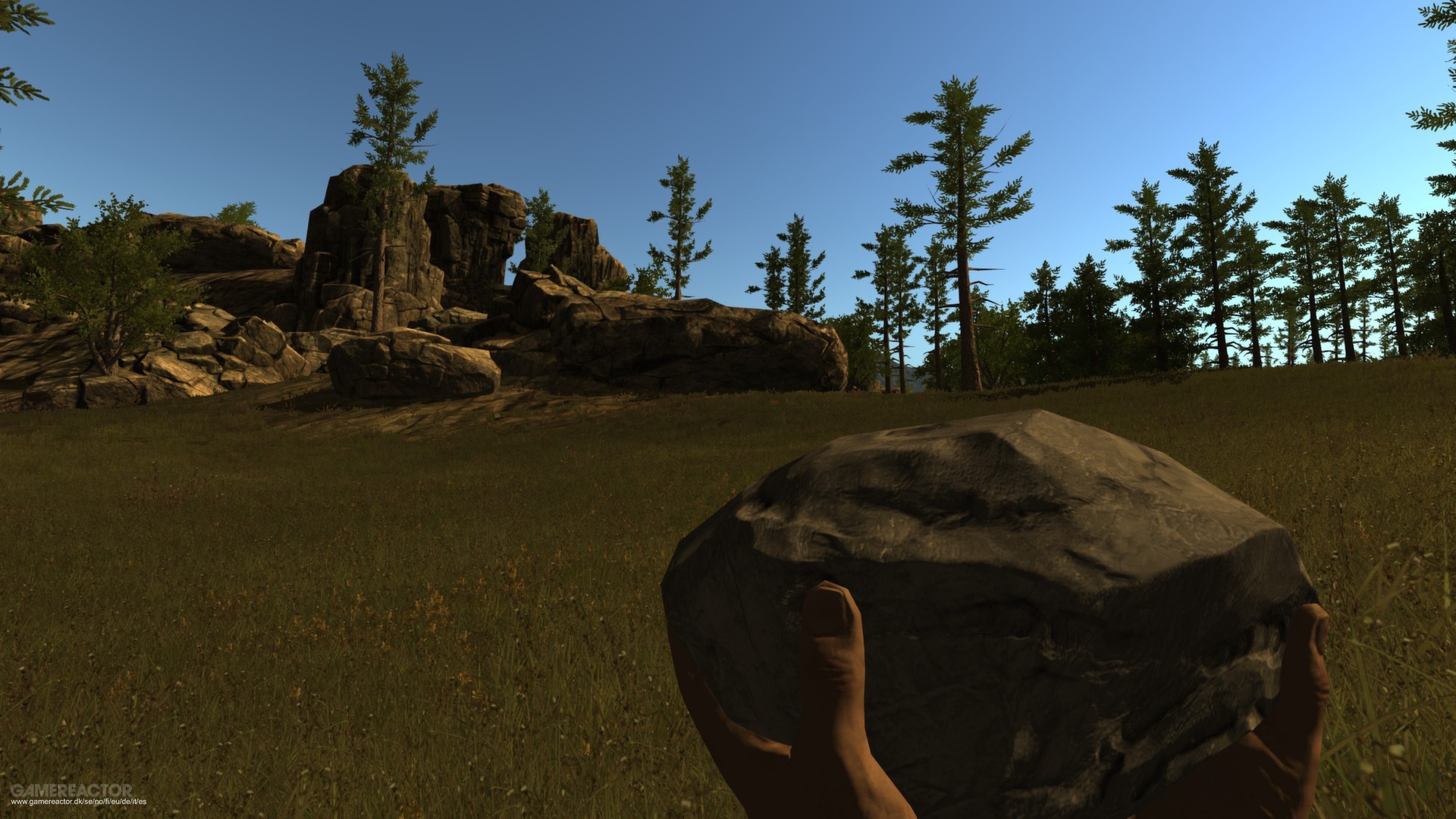 Rust verzeichnet eine Million Downloads
